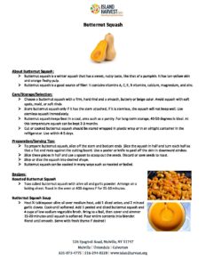 Butternut Squash NEW LOGO tips - Island Harvest