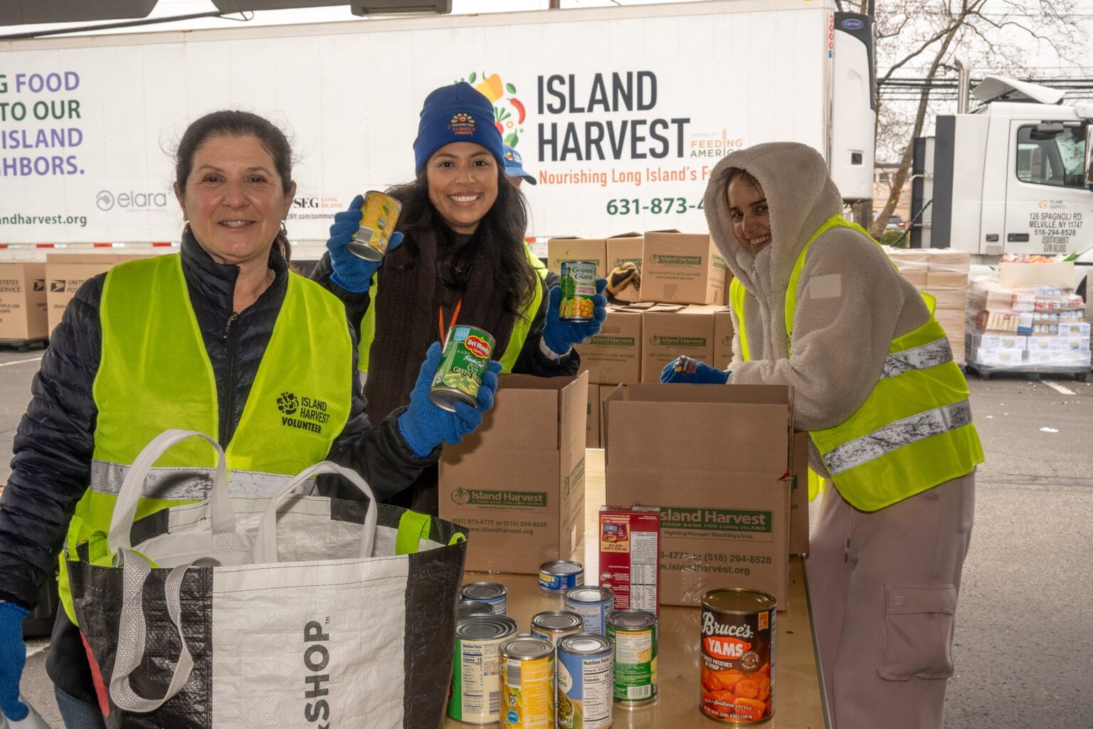 Taking Action Together: Why Volunteering Matters Now More Than Ever ...